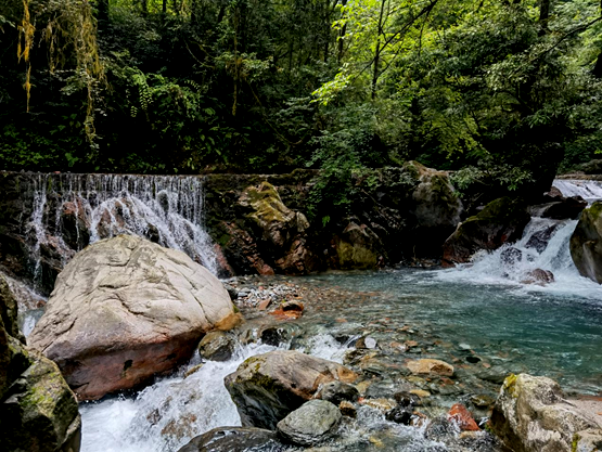 西岭雪山前山景区试运行公告-景区动态-聚焦西岭-西岭雪山官网